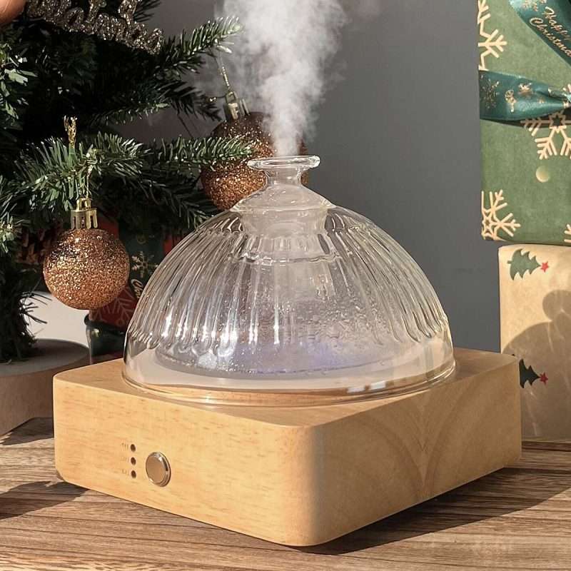 Laregest Glass Reservoir Diffuser with Glass Dome